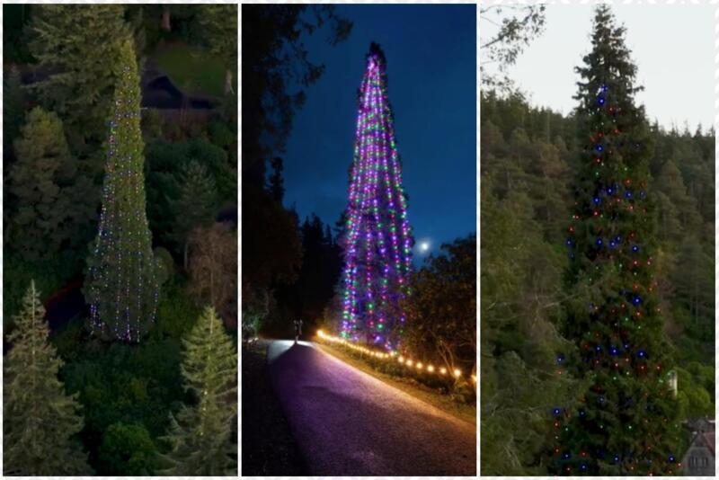 🔥 POGLEDAJTE KAKO JE OKIĆENA NAJVIŠA JELKA NA SVETU Ispunila sve ...